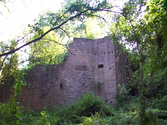 Burgruine Collenberg - Kollenberg - www.burgen.blaue-tomaten.de
